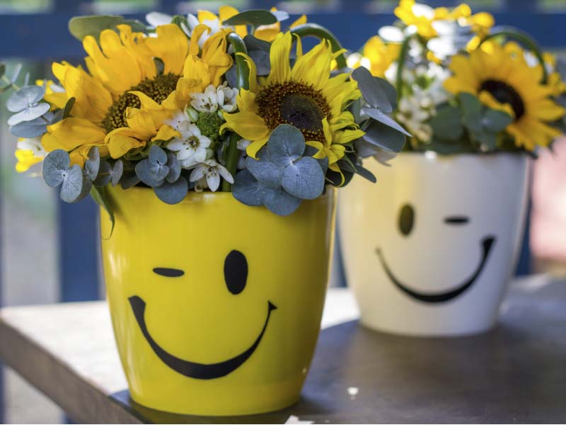 Cuales son las 5 flores ideales para regalar? Cuales son las 5 flores ideales para regalar?